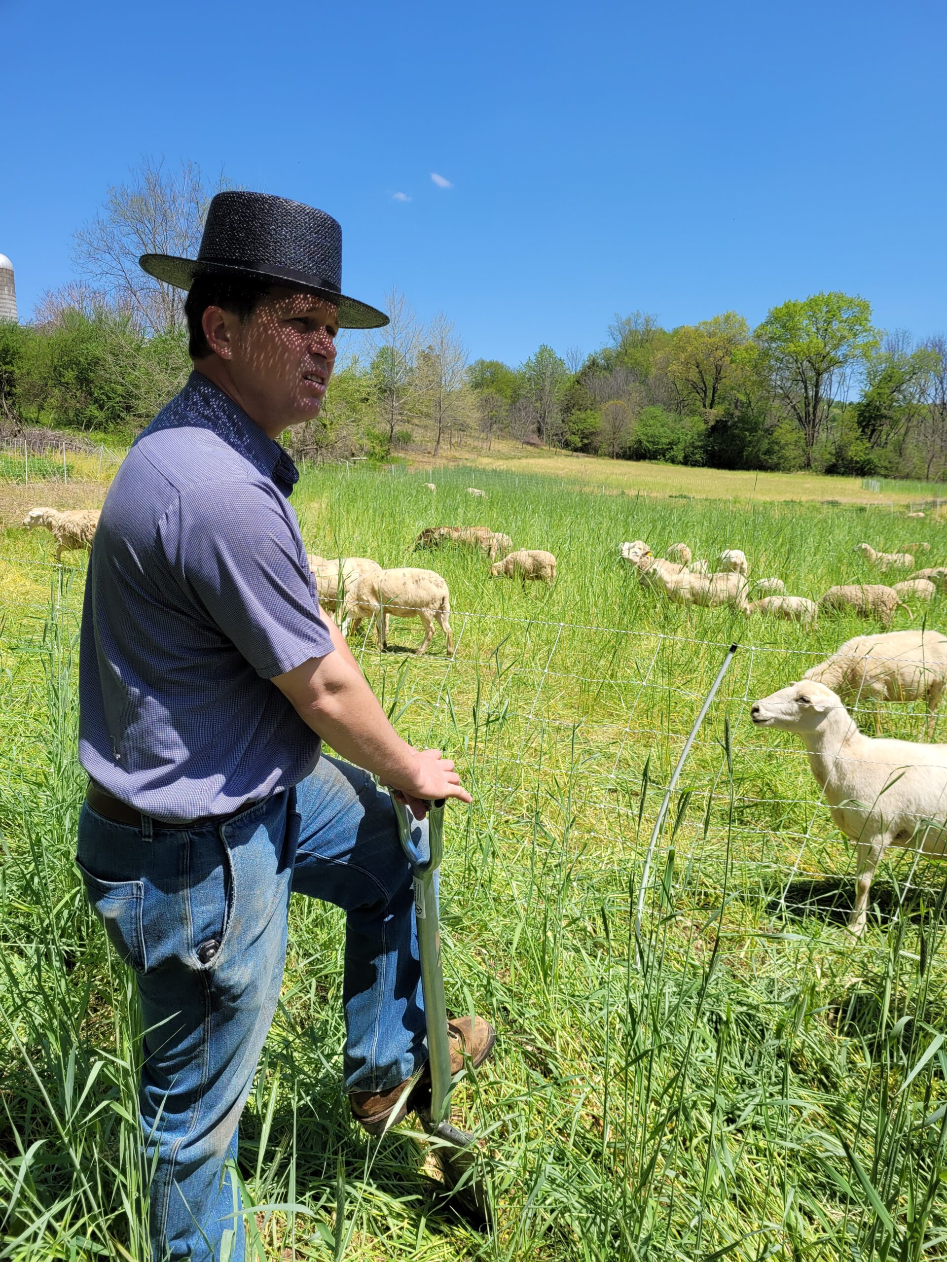 Systems Approach to Building Whole Farm Health and Vibrant Agrarian ...