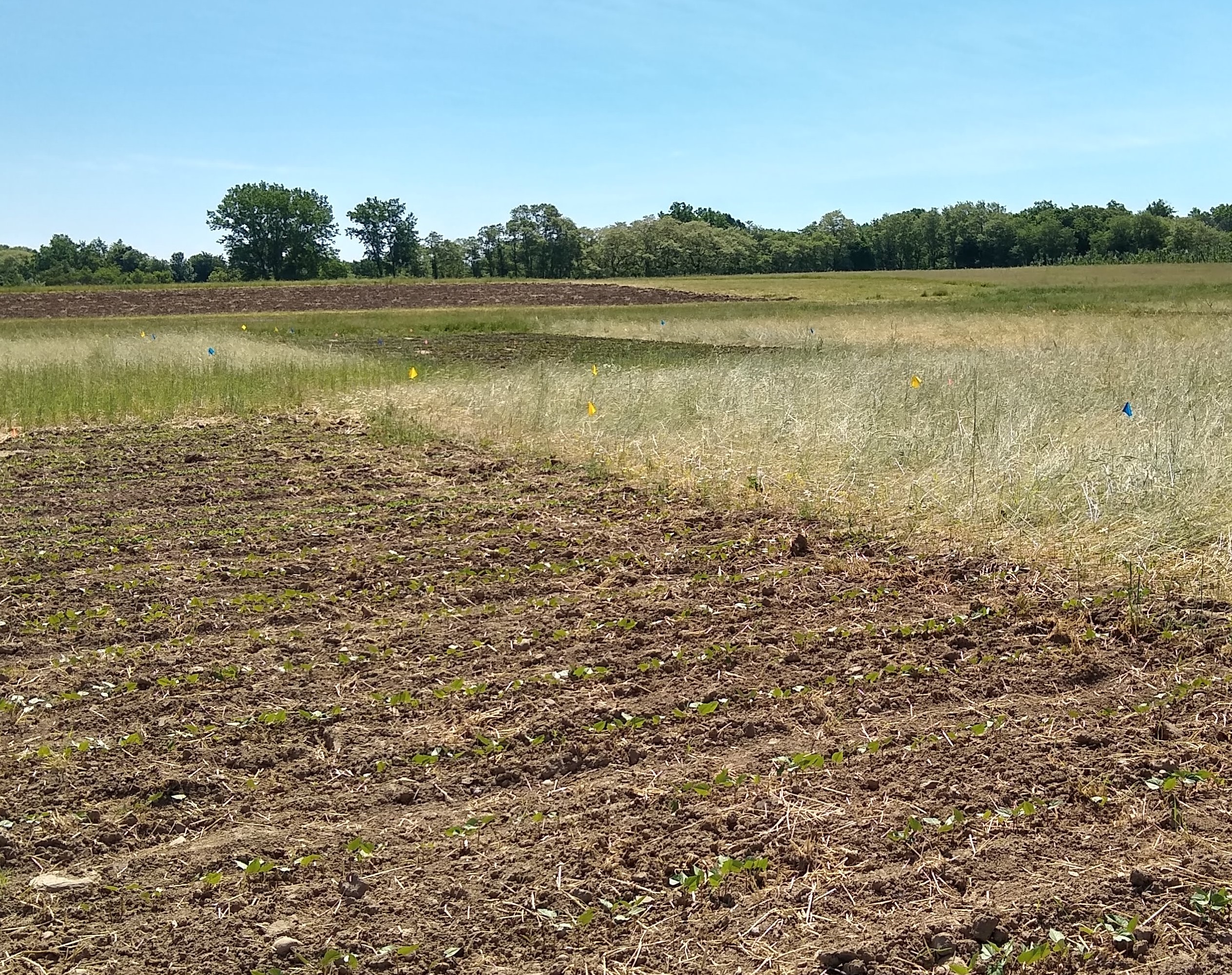 Final report for GNE19-204 - SARE Grant Management System