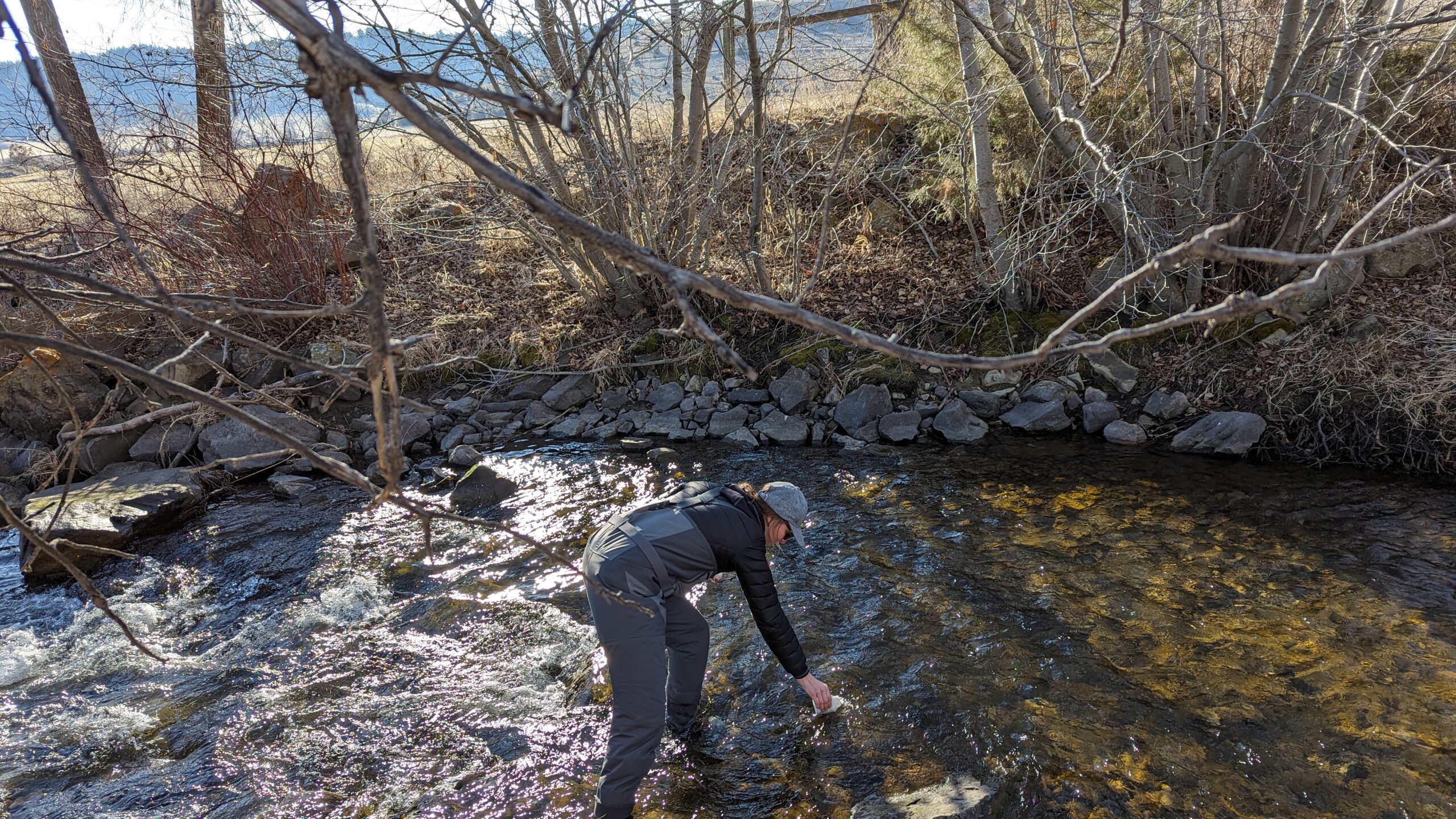 Progress report for FW24-015 - SARE Grant Management System