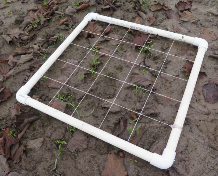 Final report for OW16-028 - SARE Grant Management System