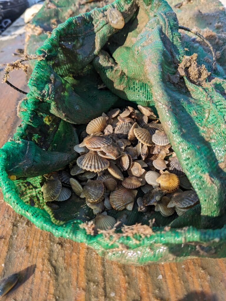 Progress report for FNE23-052 - SARE Grant Management System