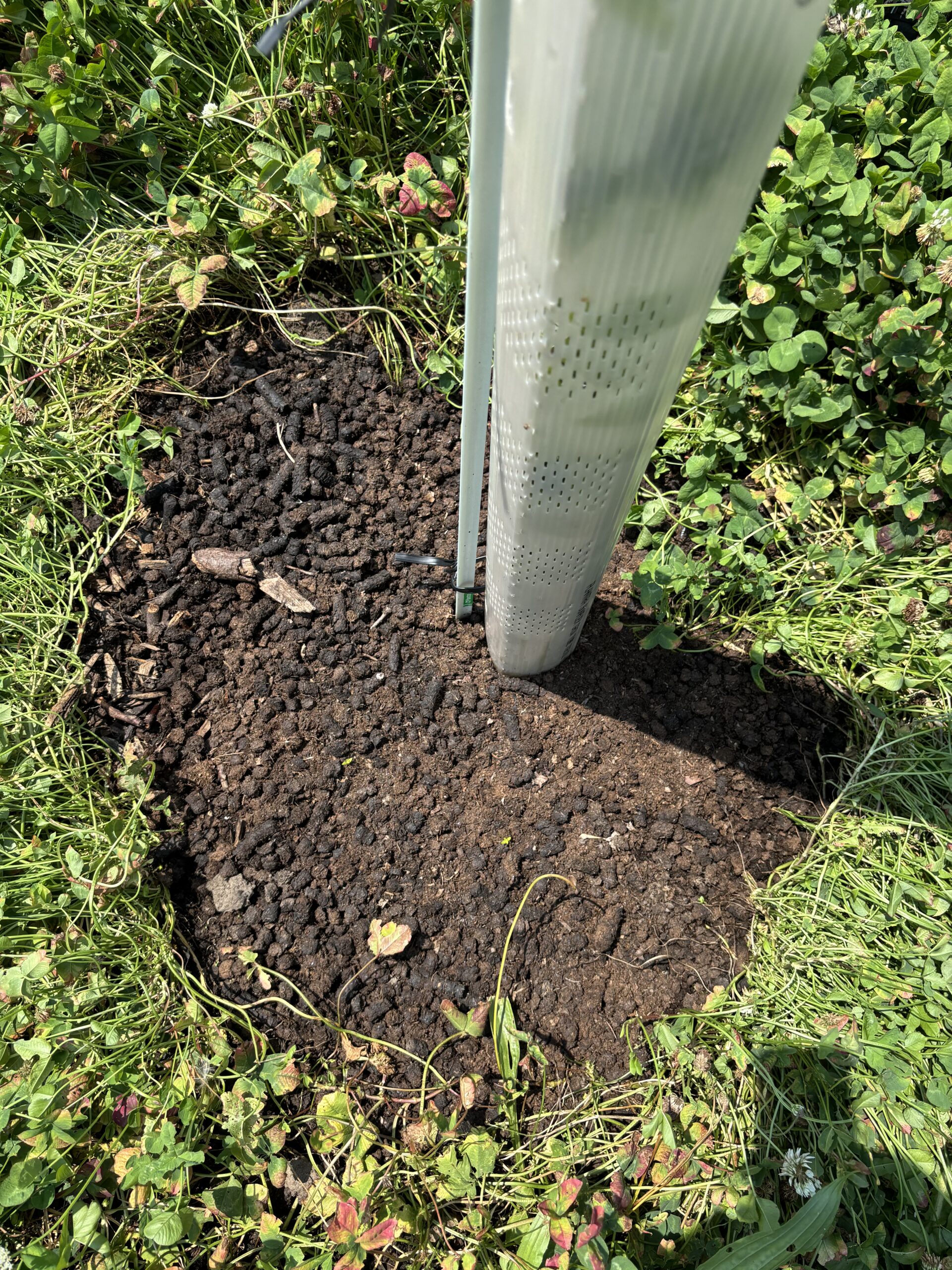 Progress report for FNC24-1431 - SARE Grant Management System