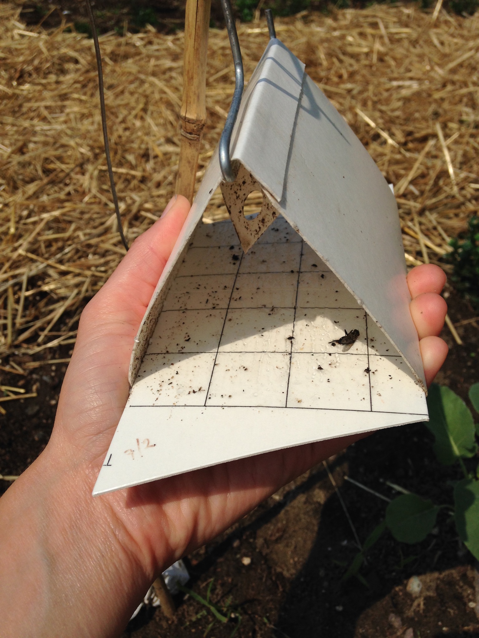 Final report for GNE16-121 - SARE Grant Management System