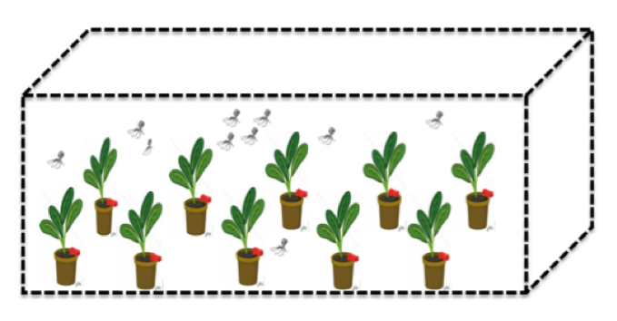 Development of an effective and economical pheromone mating disruption ...