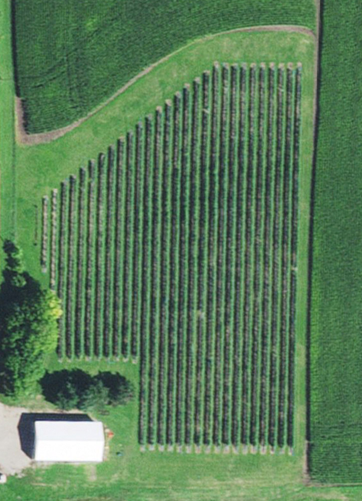 Progress report for FNC19-1193 - SARE Grant Management System