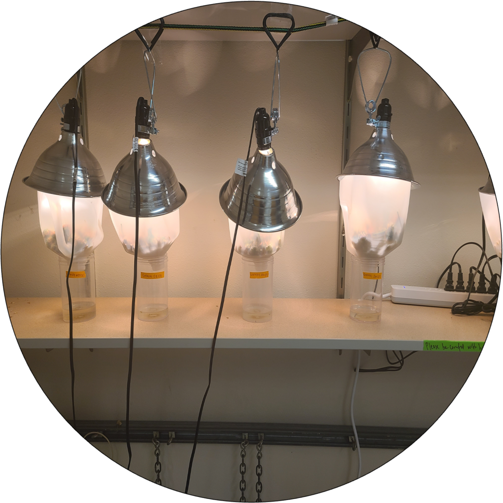 Progress report for OW22-370 - SARE Grant Management System