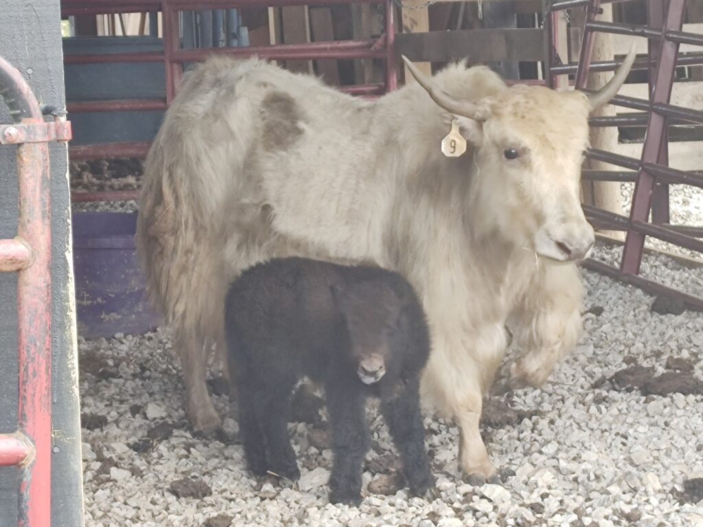 Progress report for FS23-352 - SARE Grant Management System